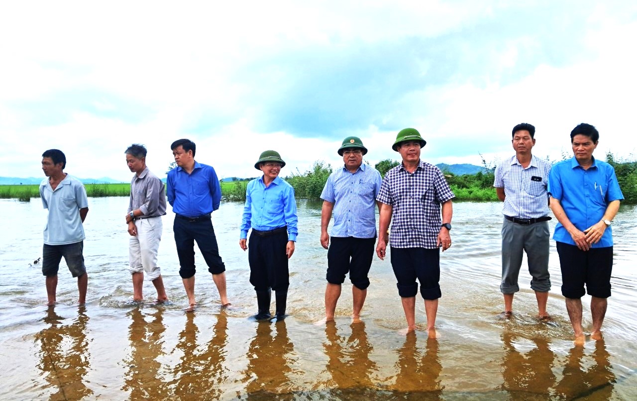 Đắk Lắk thực hiện Chiến lược quốc gia phòng chống thiên tai đến năm ...